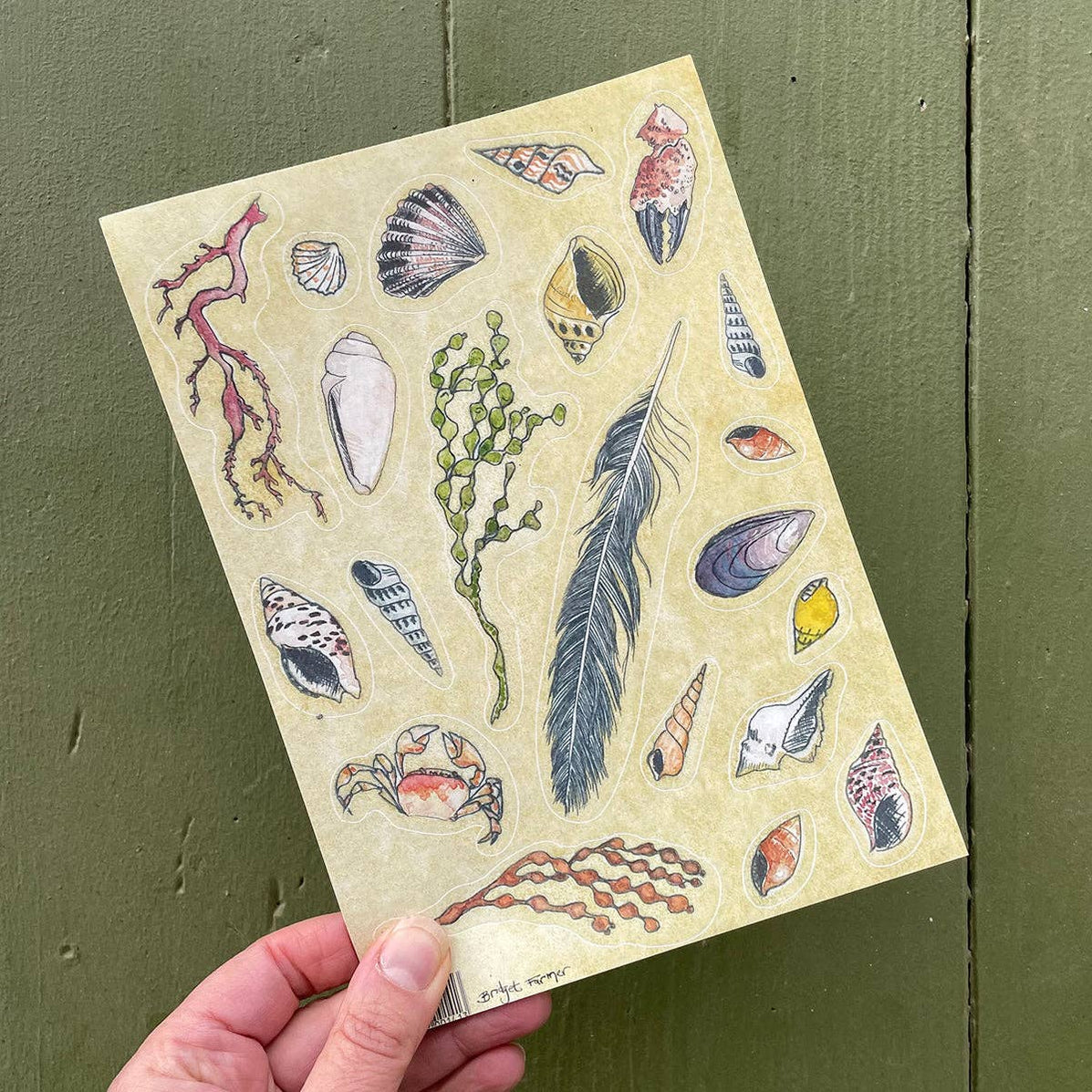 Australian Beach Sticker Sheet A5 — WashiGang